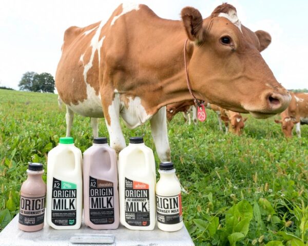 A better milk? Local cows key to Origin Milk Co. – ORIGIN Milk